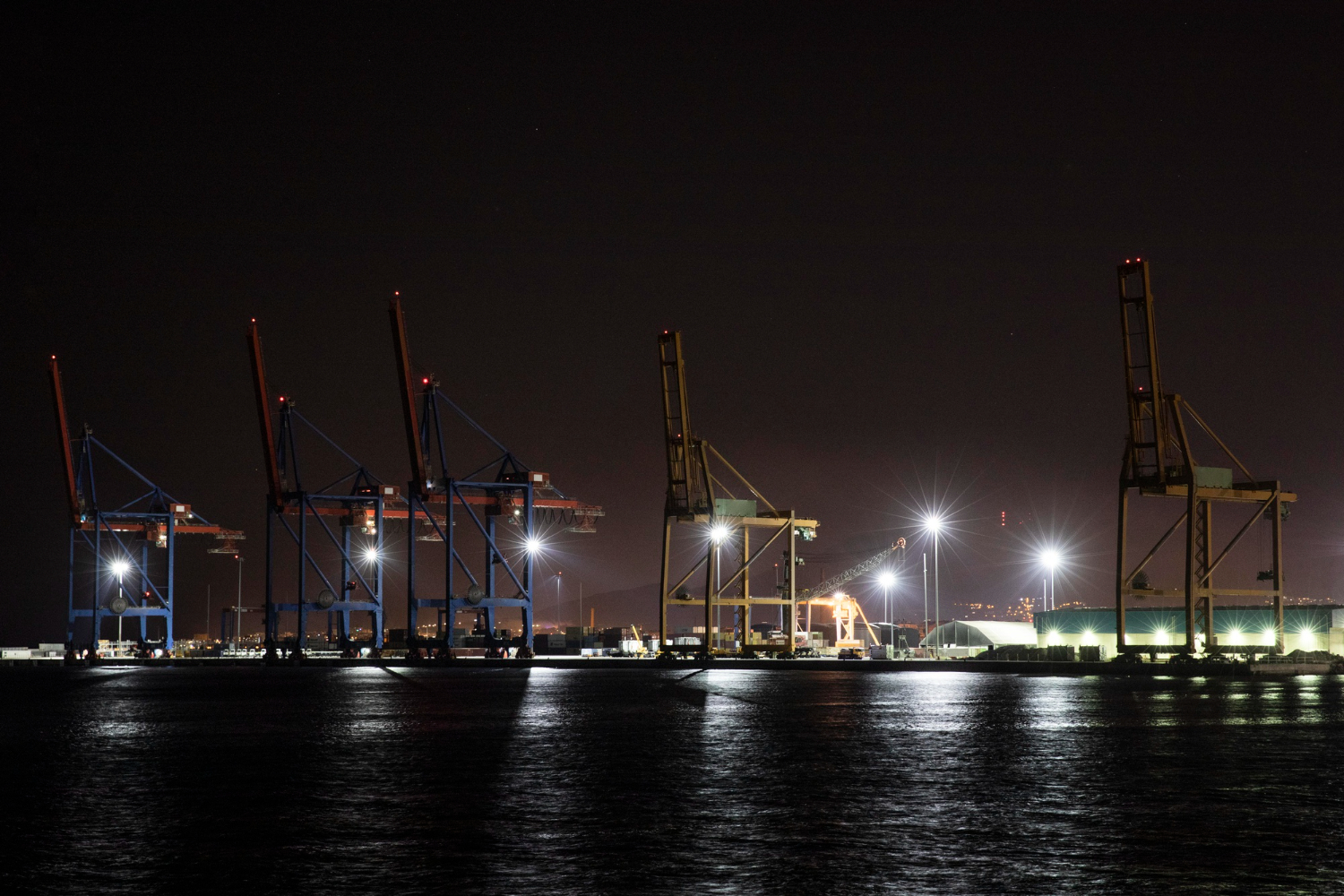 The Power of Bulk: How to Make the Most of It - MSM